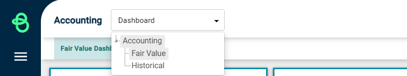Analysis of Fair Value Report