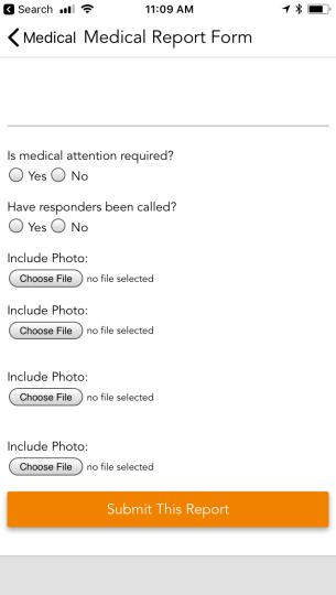 Static Reports and Forms